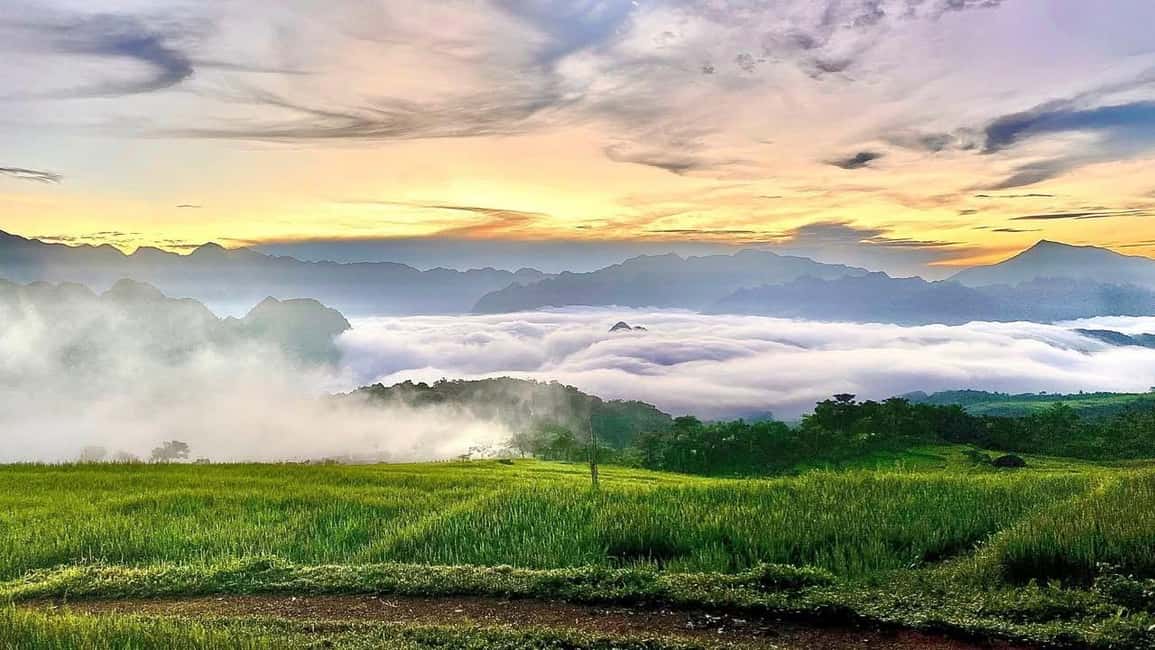 Mai Chau Valley Cycling Hiking To Chieu Cave Tour From Hanoi | GetYourGuide
