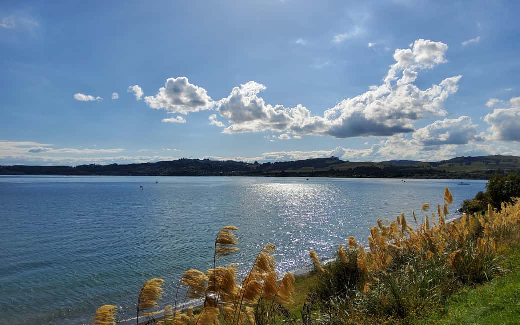 Auckland: Wai-O-Tapu and Lake Taupo Private Day Tour | GetYourGuide