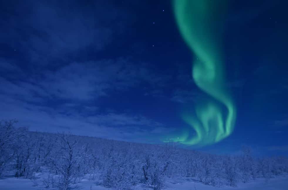 Tromsø: Northern Lights Chase with Local Guide | GetYourGuide