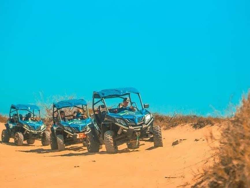 Aruba: 4x4 UTV Off-Road Adventure Tour | GetYourGuide