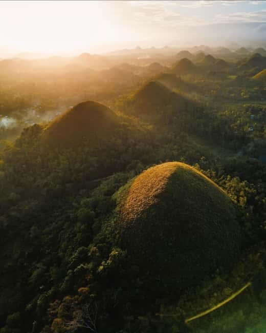 Bohol: Premium Chocolate Hills, Tarsiers & River Experience | GetYourGuide