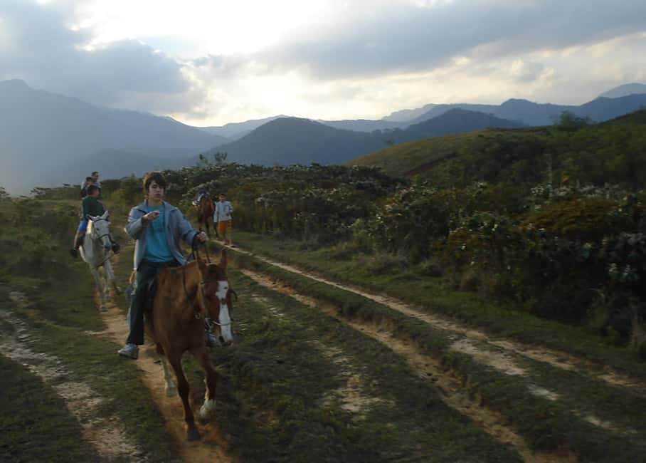 Penedo: Horseback Riding Adventure on Penedo's Trails | GetYourGuide