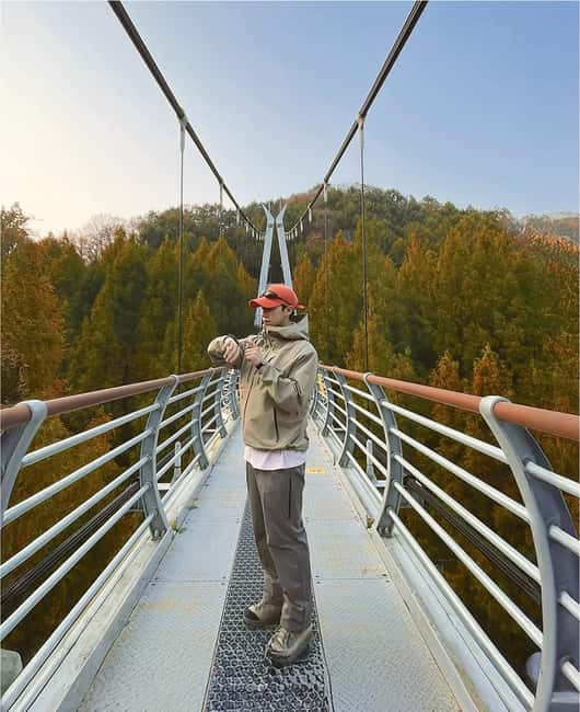 From Seoul: Suwon Hwaseong Fortress & Autumn Jangtaesan Tour | GetYourGuide