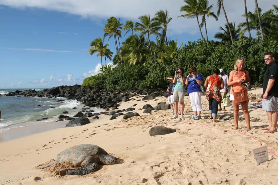 Oahu: Circle Island Tour with Lunch & Waimea Waterfall | GetYourGuide