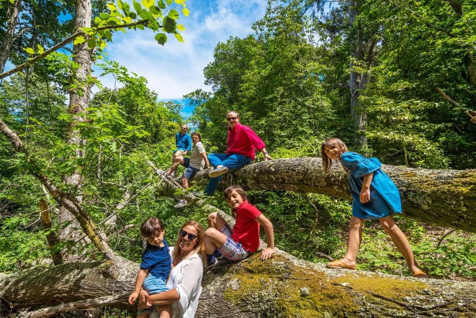 Douro-völgy: séta a szőlőültetvényeken és az erdőkben | GetYourGuide