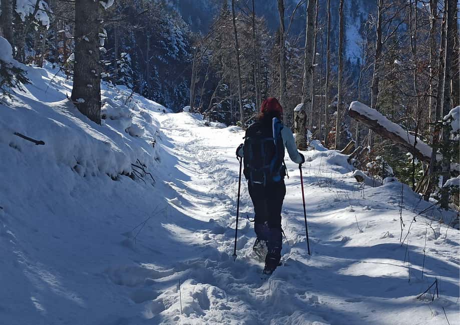 Snowshoeing tour to the peak Ostri Vrv on Jakupica mountain | GetYourGuide