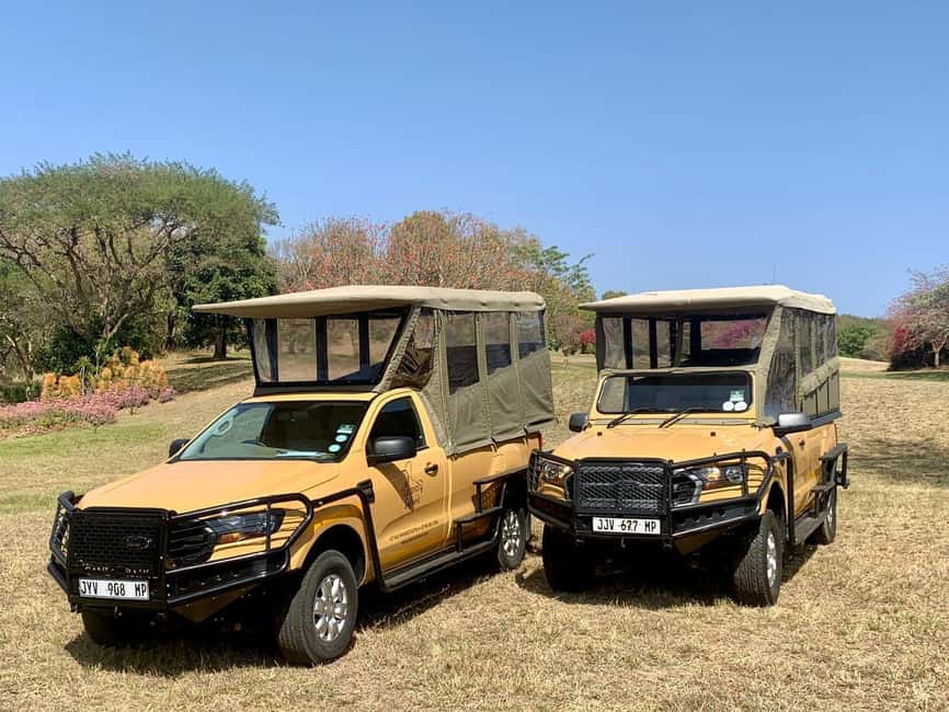 From Hazyview: Kruger National Park Full-Day Safari | GetYourGuide