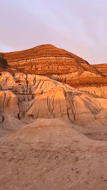 Day of Dinosaurs and Hoodoos From Calgary to the Badlands | GetYourGuide