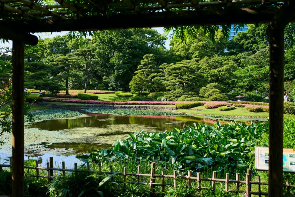 Tokyo: Imperial Palace & Tokyo Castle History Walking Tour | GetYourGuide