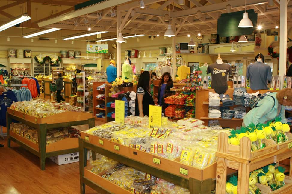 Oahu: Circle Island Tour with Lunch & Waimea Waterfall | GetYourGuide