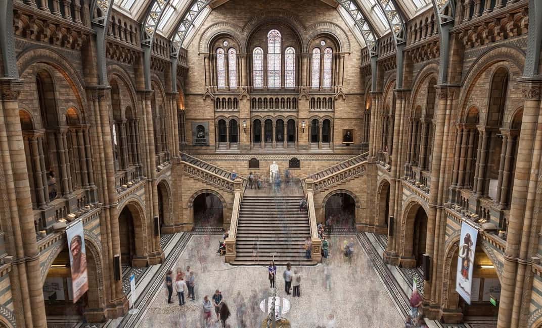 London: Natural History Museum Guided Tour w/ Priority Entry | GetYourGuide