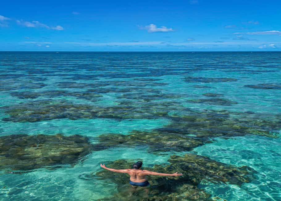 Rio do Fogo Reefs - Private Diving Experience | GetYourGuide