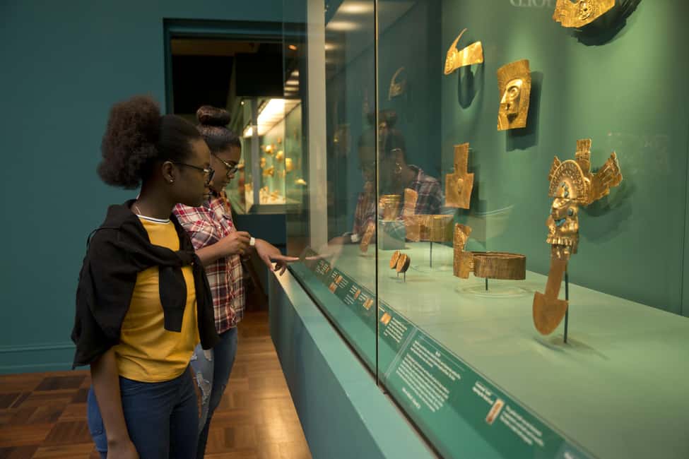 The Museum of Fine Arts, Houston Entry Ticket | GetYourGuide