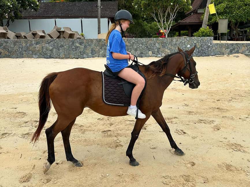 Koh Samui: Sunset Trail Horse Riding on The Beach | GetYourGuide
