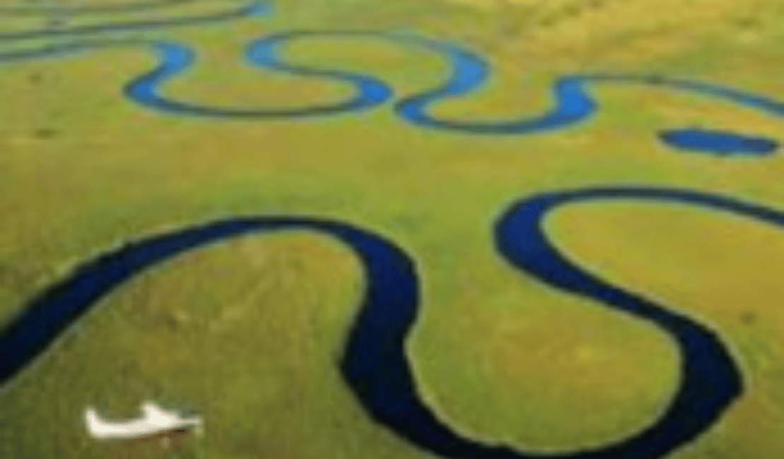 Mokoro Day Trip at the Okavango Delta | GetYourGuide