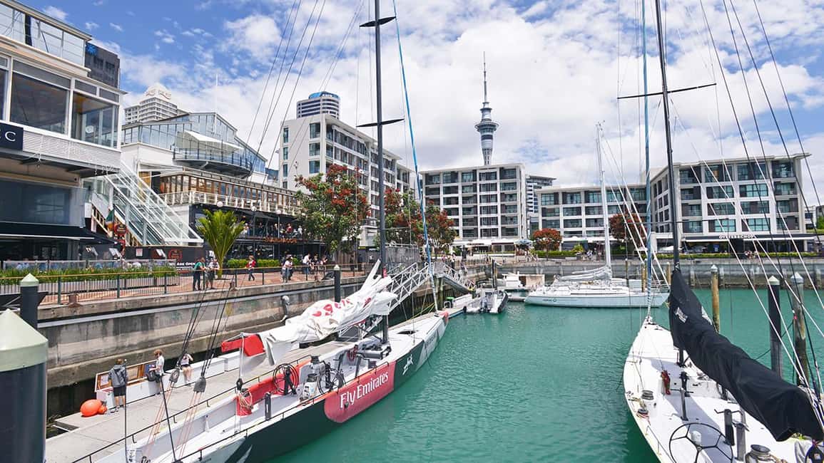 Auckland City Highlights Small-Group Tour (Half-Day) | GetYourGuide
