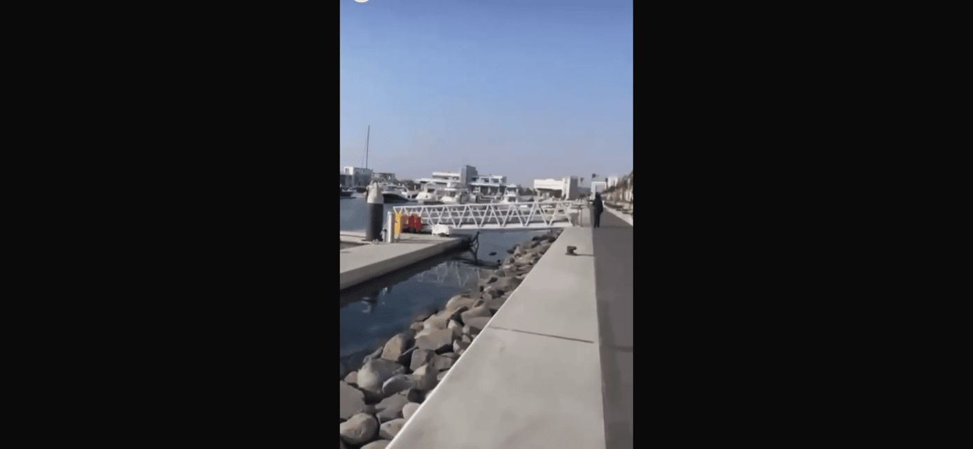 Makkah or Jeddah to Al-Hada, Al-Shafa, and Taif City Tour | GetYourGuide