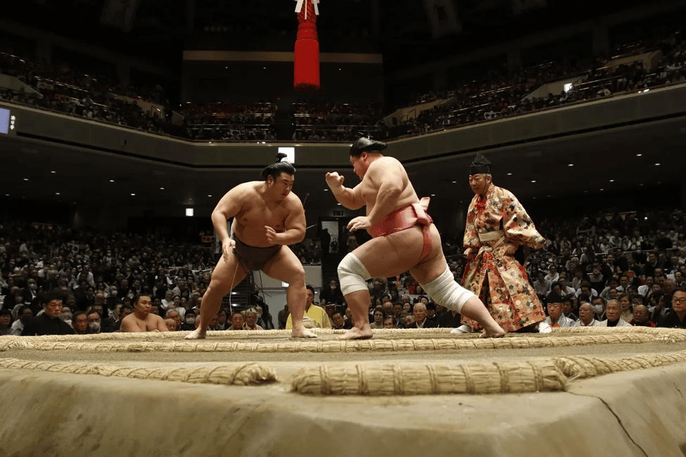 Fukuoka: Fukuoka Sumo Contest | GetYourGuide