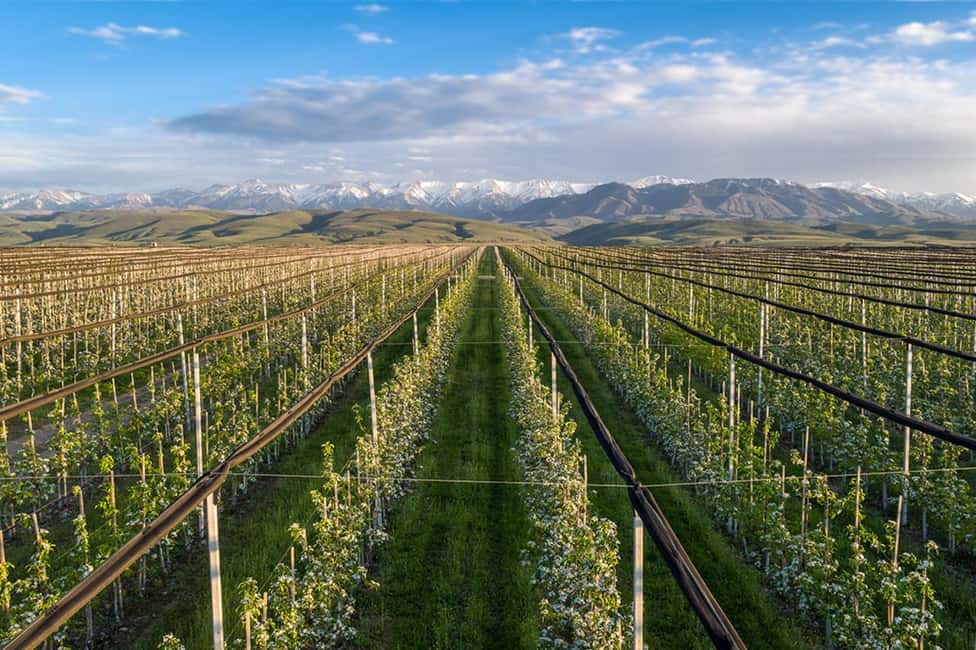 Big Almaty Lake and Legendary Almaty Apple Orchard | GetYourGuide