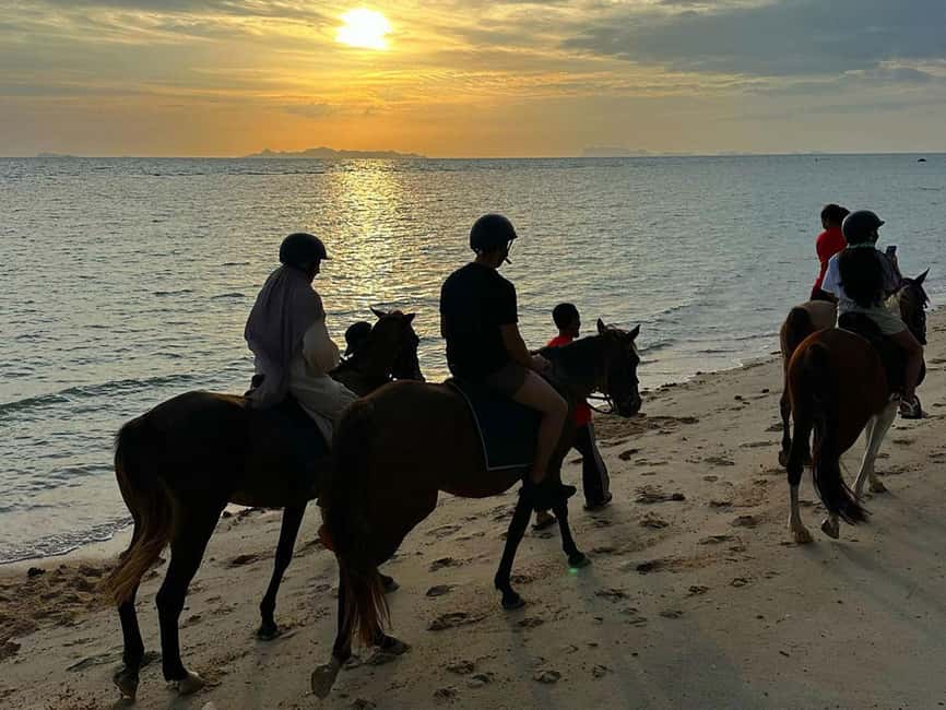 Koh Samui: Sunset Trail Horse Riding on The Beach | GetYourGuide