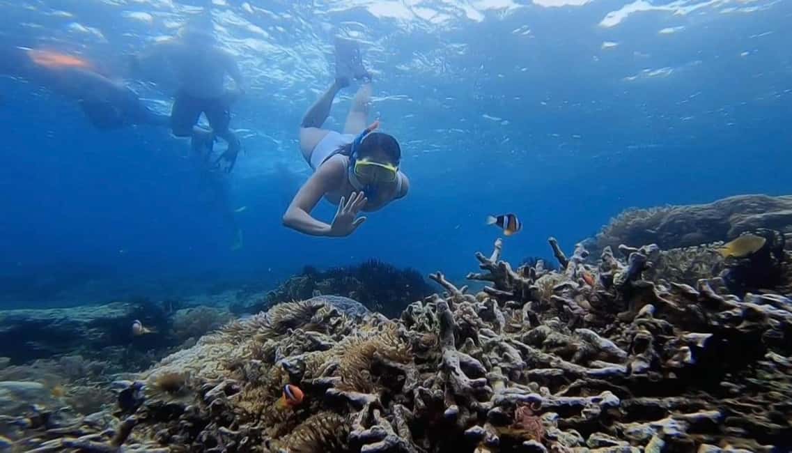 Snorkel en Lombok a Gili Nanggu, Tangkong, Sudak y Kedis | GetYourGuide
