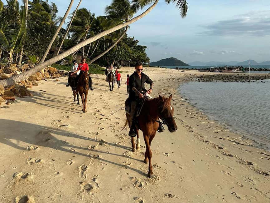 Koh Samui: Sunset Trail Horse Riding on The Beach | GetYourGuide
