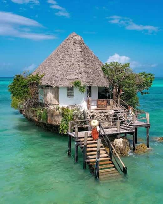 Zanzibar : visite guidée sur la guérison et la phytothérapie | GetYourGuide