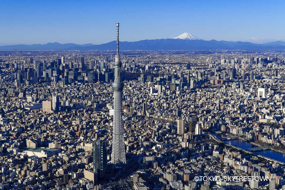 Tokyo: 1 Day Bus Tour with Meiji-Jingu,Odaiba,lunch&Skytree | GetYourGuide