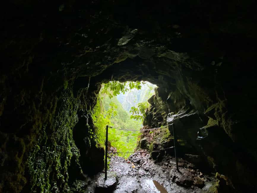 Madeira: PR 9 - Levada do Caldeirão Verde Hike Transfer | GetYourGuide
