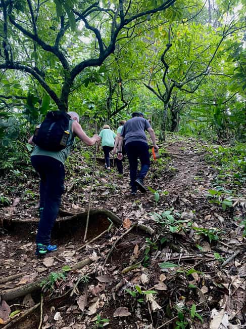 From Puerto Viejo & Cahuita: Hidden Kekoldi Waterfall Hike | GetYourGuide