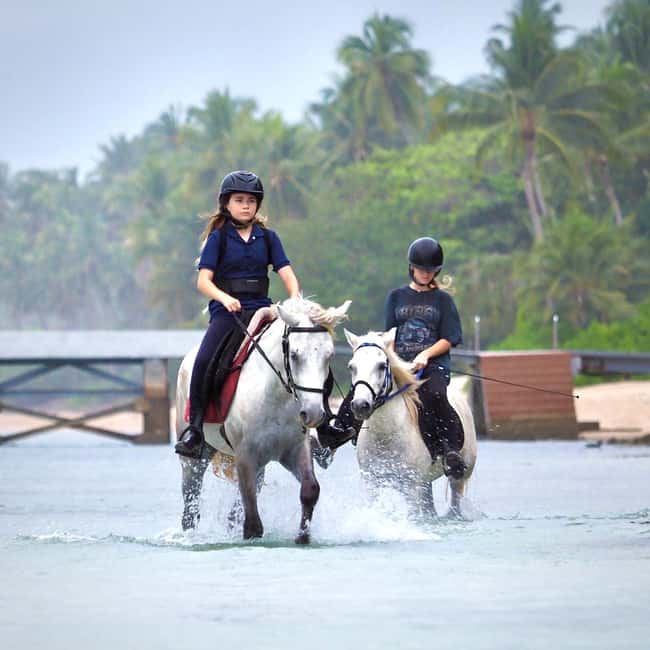 Koh Samui: Sunset Trail Horse Riding on The Beach | GetYourGuide