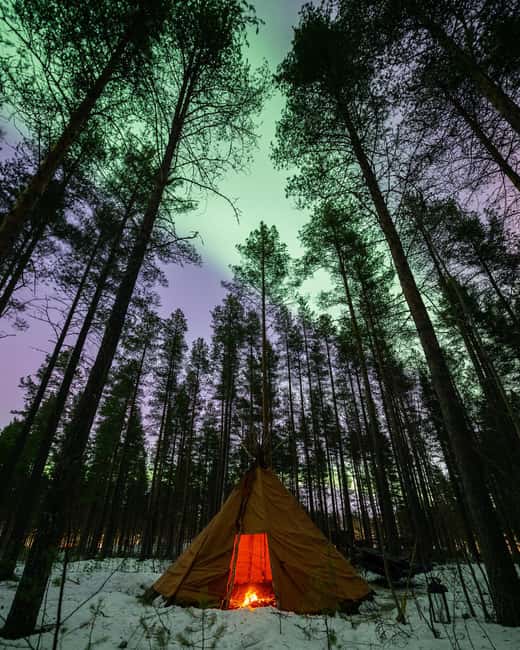 Luleå: Sami Culture, Reindeer, and Northern Lights Tour | GetYourGuide