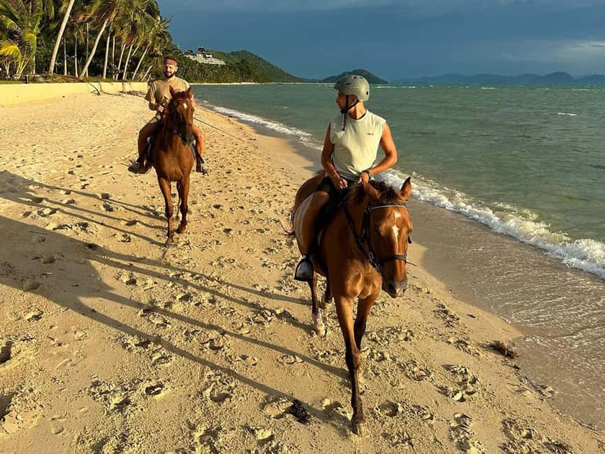 Koh Samui: Sunset Trail Horse Riding on The Beach | GetYourGuide