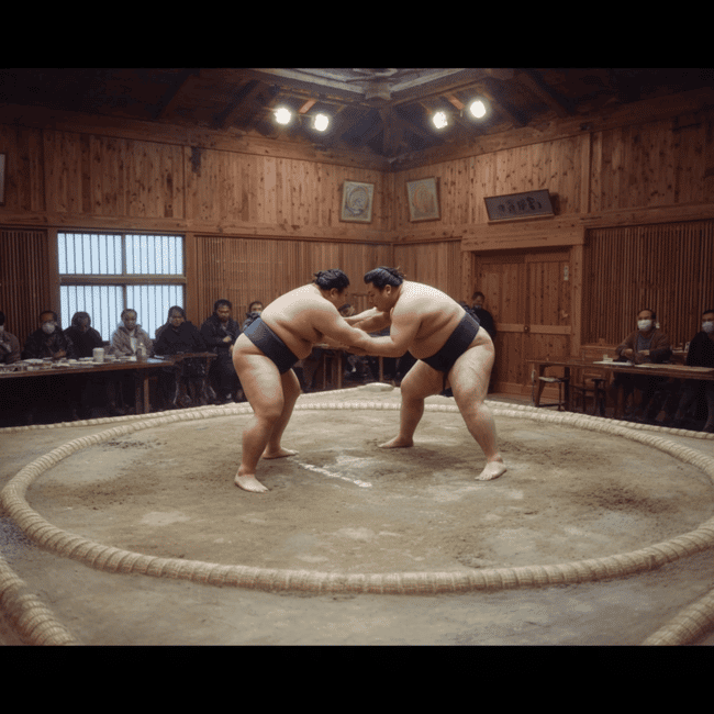 Tokio: Espectáculo de sumo con bebidas y foto | GetYourGuide