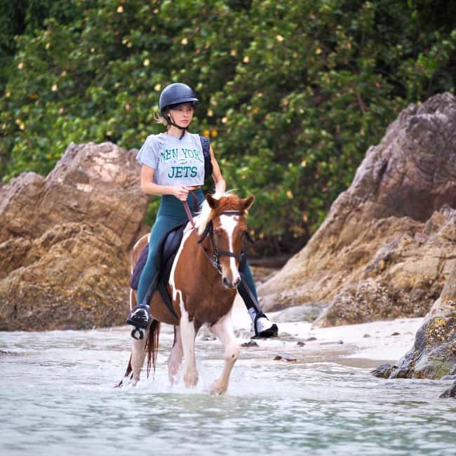 Koh Samui: Sunset Trail Horse Riding on The Beach | GetYourGuide