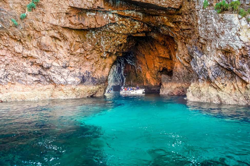 Lisbon: Private Full Day Tour to Berlengas Island | GetYourGuide