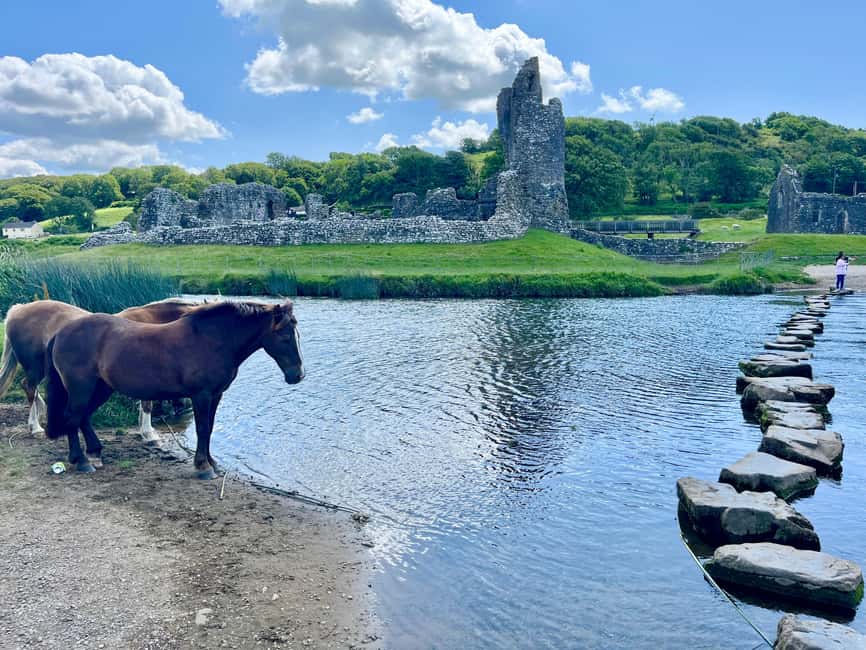 Cardiff: South Wales Cliffs, Beaches & Castles Day Tour | GetYourGuide