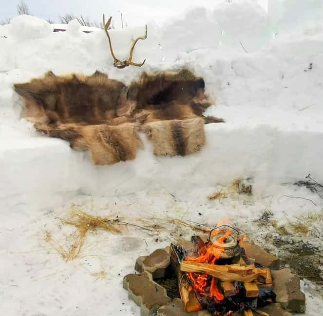 Tromsø Arctic Adventure: Sledging, Lasso, mini skis & More | GetYourGuide