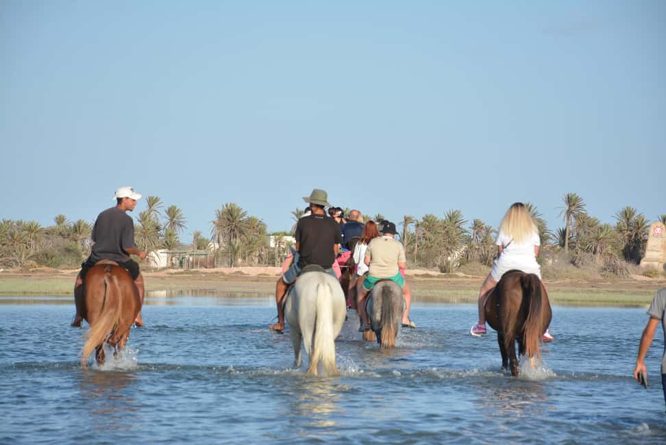 Djerba: 2h Horse Ride on Beach & Berber Trails Experience | GetYourGuide