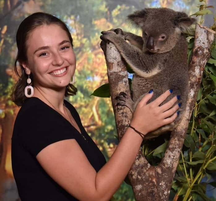 Cairns Koalas and Creatures Entry Ticket with Koala Photo | GetYourGuide