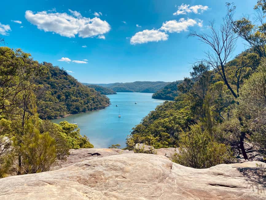 Sydney: Ku-ring-gai National Park Hike with swim and picnic | GetYourGuide