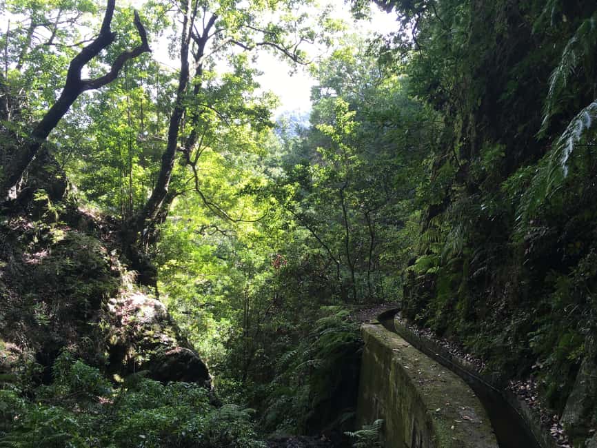 Madeira: PR 9 - Levada do Caldeirão Verde Hike Transfer | GetYourGuide