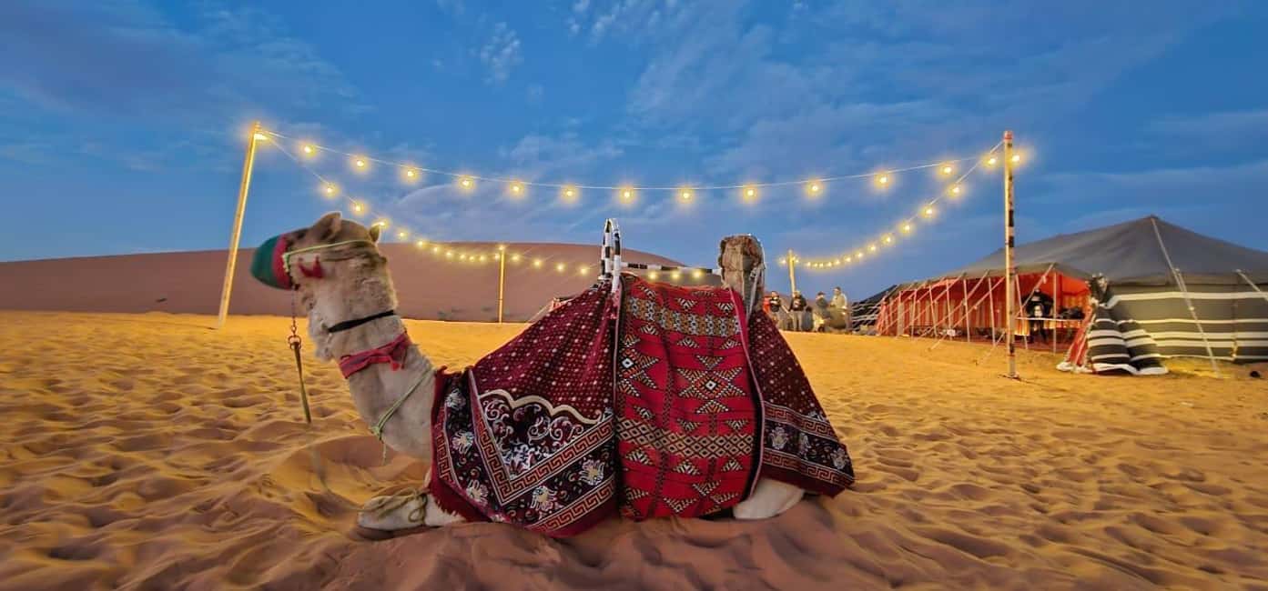Riyadh Desert Safari Camel Ride Quad Bikes, and Dinner | GetYourGuide