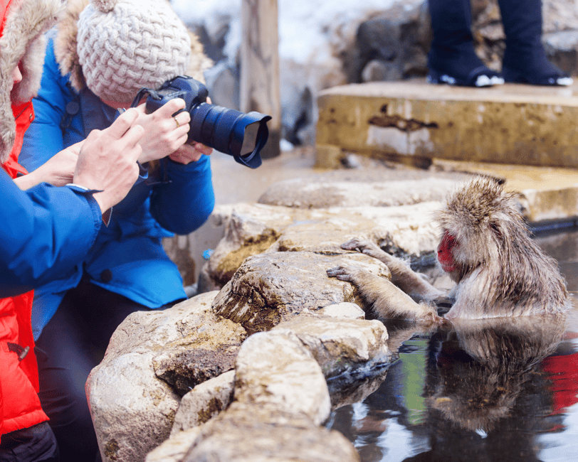Snow Monkeys & Zenkoji: Private Tour with Sake & Photo Gift | GetYourGuide