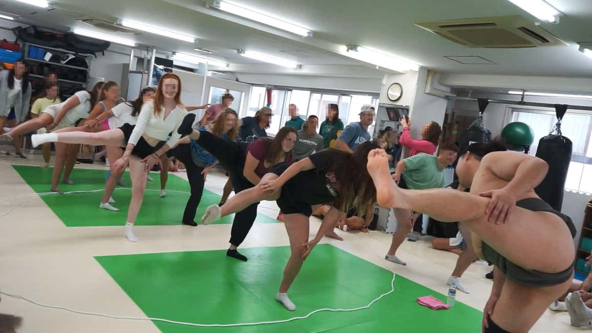 Tokyo Shinjuku: Sanctuary Grand Sumo Experience For Group | GetYourGuide