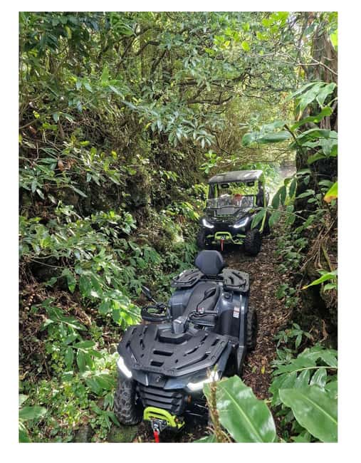 Pico: Buggy Adventure | GetYourGuide