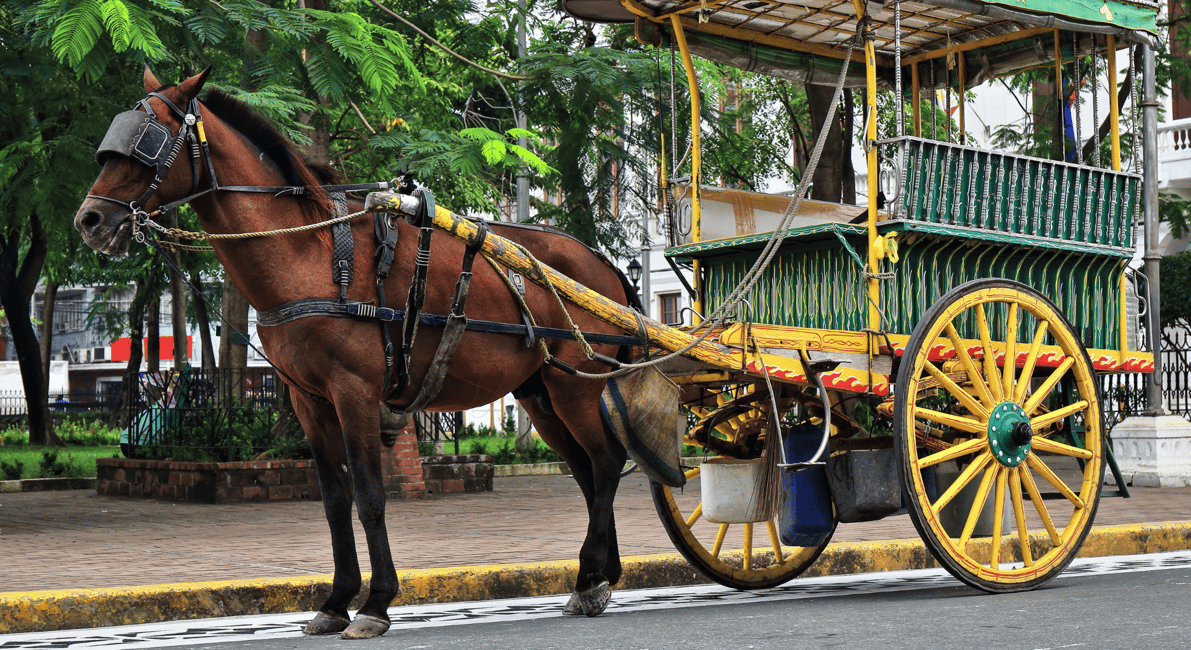 MANILA: HISTORICAL KALESA RIDE TOUR EXPERIENCE IN INTRAMUROS | GetYourGuide