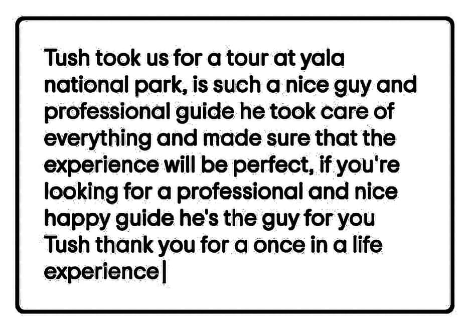 From Ella: Udawalawe National Park safari drop to Ella again | GetYourGuide