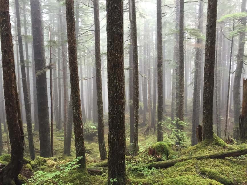 Hoonah: Icy Strait Village Tour and Crab Feast | GetYourGuide