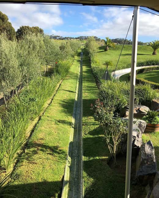 Cape Town: Cool Running/Toboggan Adventure and Hotel Pickup | GetYourGuide